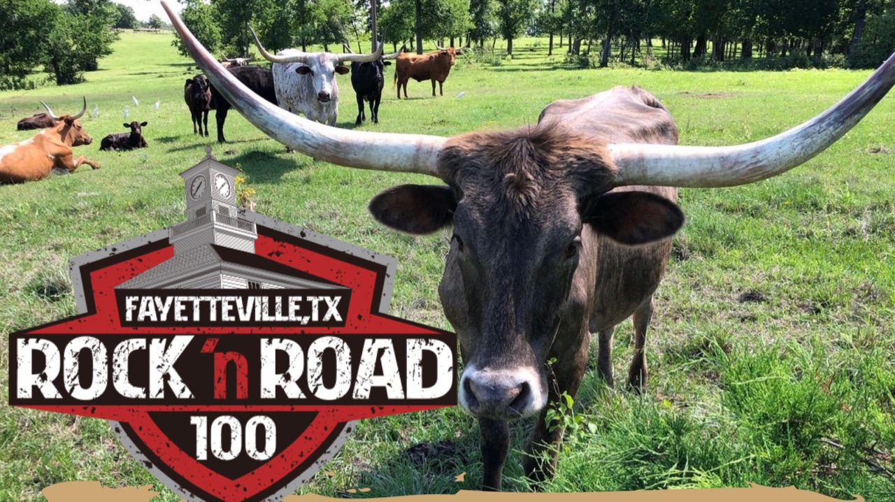 Chasing Watts | Rock n Road 100